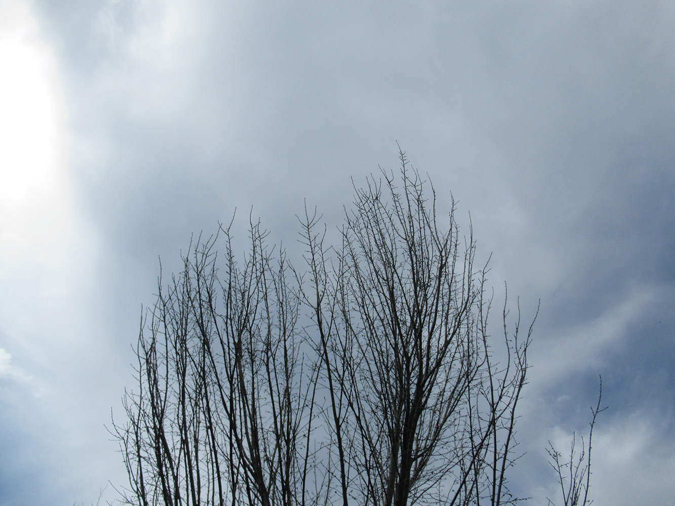 Portfolio – Rotem Toor